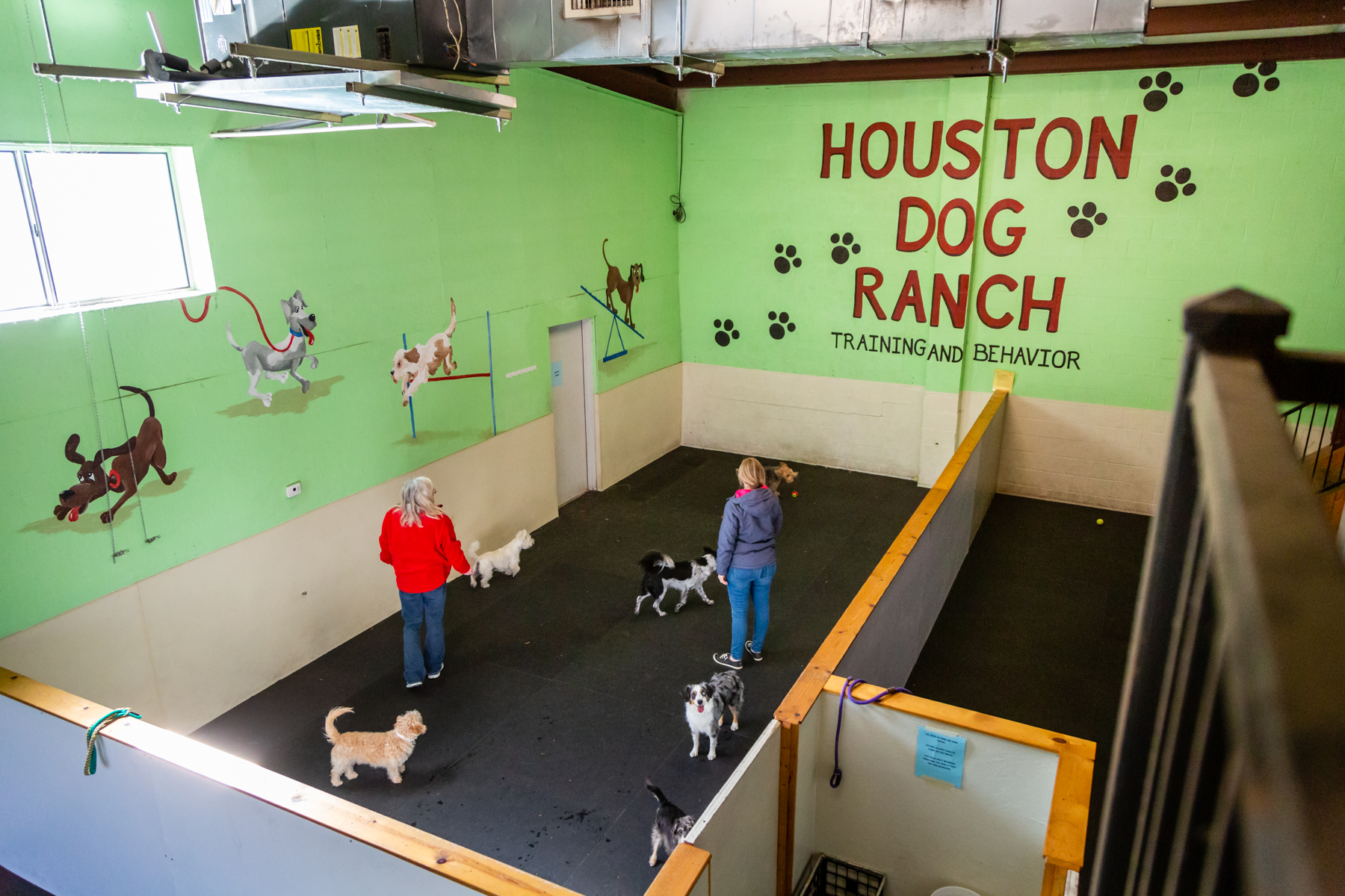 Day Care - houstondogranch.com